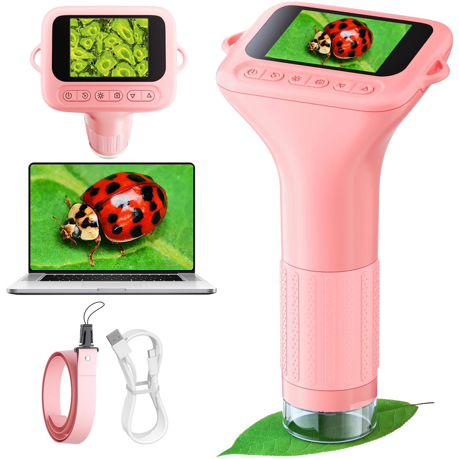 Microscope for Kids with 12 Slides – Lavender Vibes