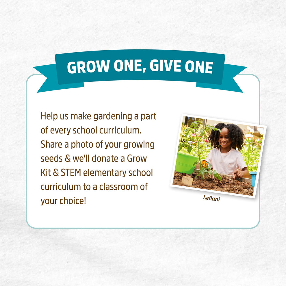 Heirloom Organic, Non-GMO & USA Grown Seeds, 30ct Herb, Fruit, and Veg ...
